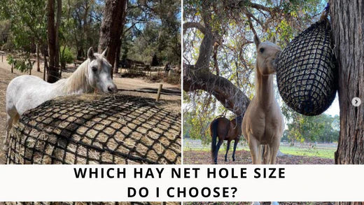 Which hay net hole size do I choose? – Gutzbusta New Zealand