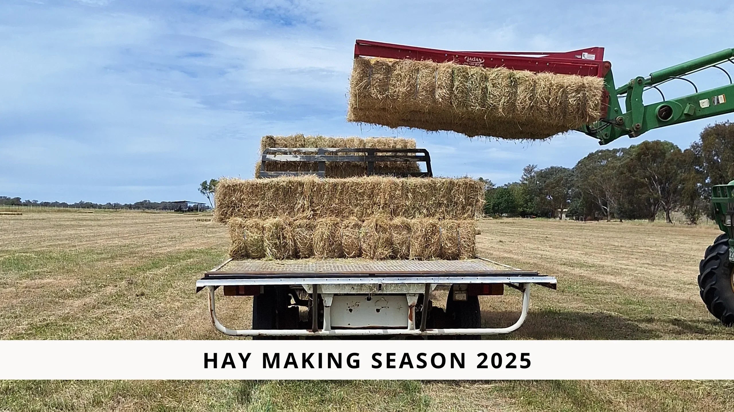 Hay Making Season 2025 – Gutzbusta New Zealand