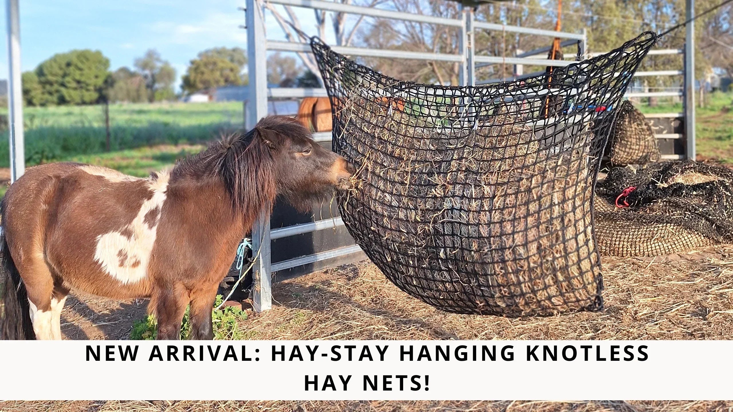 New Arrival: Hay-Stay Hanging Knotless Hay Nets! – Gutzbusta New Zealand