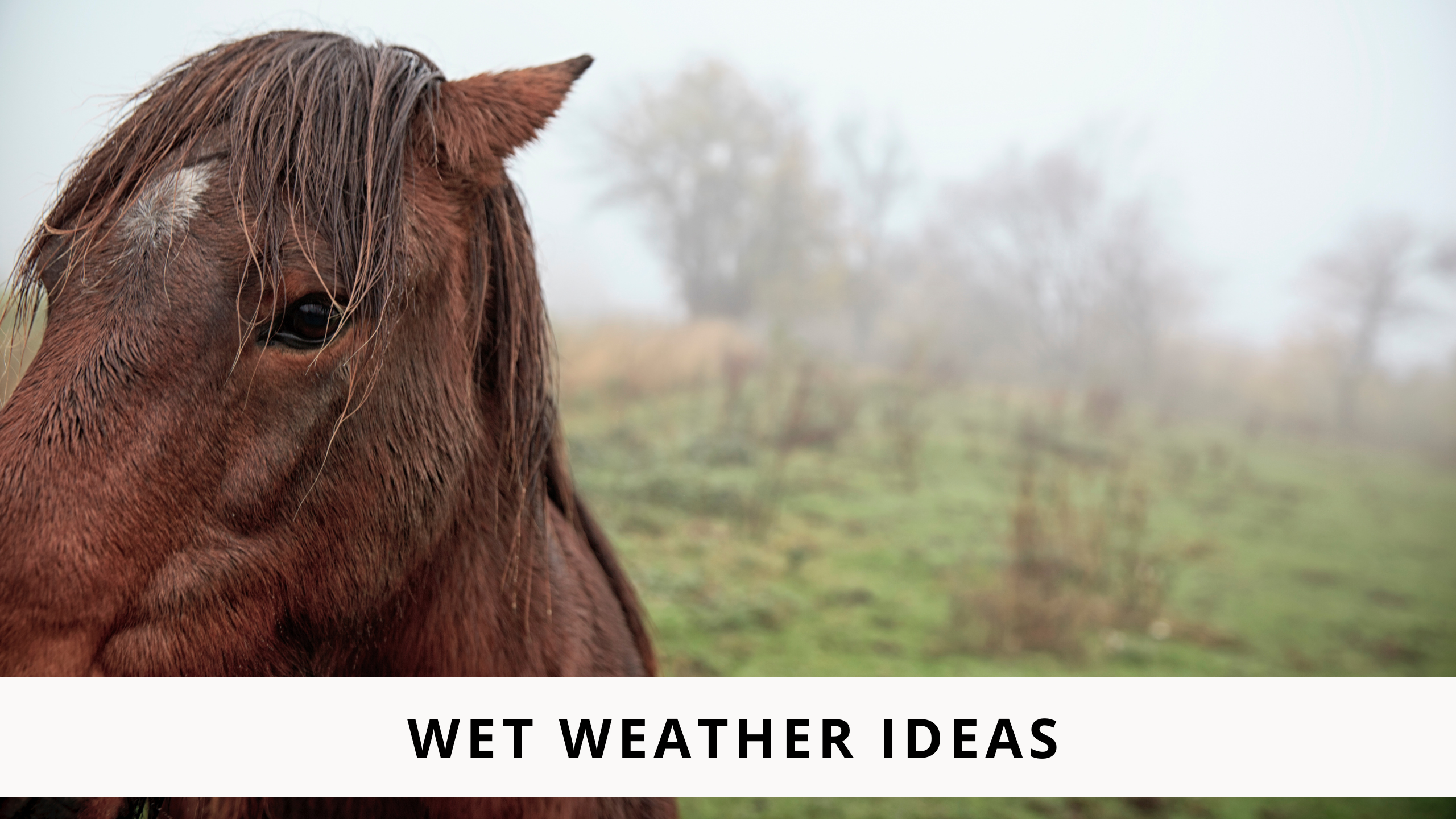 Wet Weather Hay Ideas – Gutzbusta New Zealand