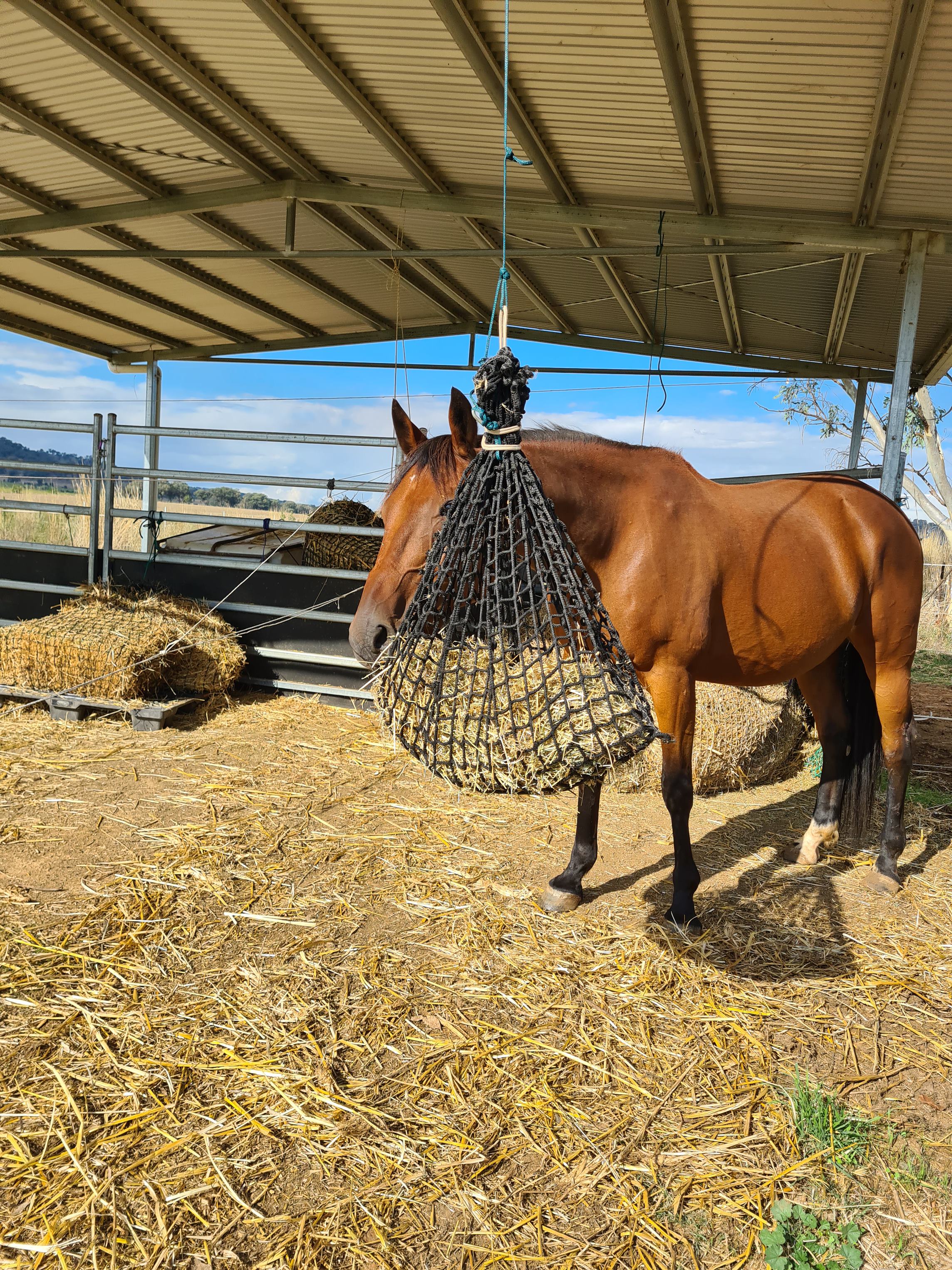 Deluxe Knotless Hay Nets – Gutzbusta New Zealand